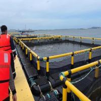 China HDPE Square Fish Cage 200mm Main Pipe 182sqm Anti-Wave Aquaculture Cage for Lake Farming for sale