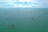 China Dia.20m HDPE Fish Cage PE100 Pipe Anti-Wave 6m Typhoon Resistant Lake Aquaculture for sale