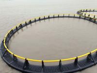 China Dia.20m HDPE Fish Cage PE100 Pipe Anti-Wave 6m Typhoon Resistant Lake Aquaculture for sale