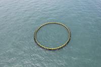 China Dia.20m HDPE Fish Cage PE100 Pipe Anti-Wave 6m Typhoon Resistant Lake Aquaculture for sale