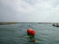 China HDPE Square Fish Cage 200mm Float Pipe 6m Wave Resistant for Lake Aquaculture for sale