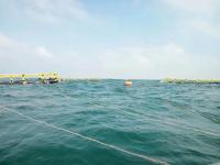 China HDPE Square Fish Cage 200mm Float Pipe 6m Wave Resistant for Lake Aquaculture for sale