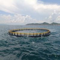 China 30m Perimeter HDPE Fish Cage Complete Set for Tilapia Farming in Lakes Coastal Waters for sale
