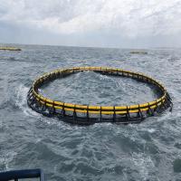China 30m Perimeter HDPE Fish Cage Complete Set for Tilapia Farming in Lakes Coastal Waters for sale