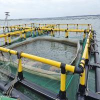 China HDPE Square Floating Fish Cage 4m x 4m for High-Density Freshwater Aquaculture in Reservoirs for sale