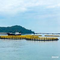 China HDPE Large Capacity Deep Water Circular Fish Cage 80m-300m Circumference 355mm-500mm Floating Pipe for High-Yield Marine Aquaculture for sale