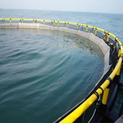 China Lightweight Small Circular Test Fish Cage 30m-200m Circumference for Small-scale Farmer Trial Aquaculture for sale