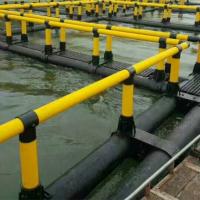 China Heightened Square Anti-Predator HDPE Fish Cage 4m x 4m Anti-Bird Marine Beast Protection Coastal Farming for sale