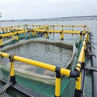 China Mini Square HDPE Fish Cage for Shallow Pond Use 2m x 2m Simple Aquaculture for Family Farmers for sale