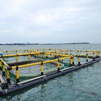 China Mini Square HDPE Fish Cage for Shallow Pond Use 2m x 2m Simple Aquaculture for Family Farmers for sale