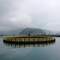 China Storm-resistant Deep Sea HDPE Circular Fish Cage for sale