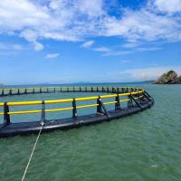 China Storm-resistant Deep Sea HDPE Circular Fish Cage for sale