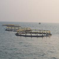 China Double-layer Protection Commercial Circular Aquaculture Cage for sale