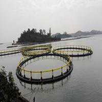 China Large-capacity High-density Circular Fish Culture Cage for sale