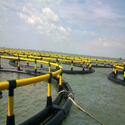 China Long-service-life HDPE Floating Circular Fish Cage for sale
