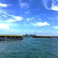 China Long-service-life HDPE Floating Circular Fish Cage for sale