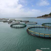China Long-service-life HDPE Floating Circular Fish Cage for sale