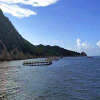 China Custom Offshore Circular Cage Specially for Gilthead Seabream for sale