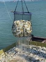 China Fast fish growth in HDPE Fish Cage for sale
