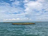 China Fast fish growth in HDPE Fish Cage for sale