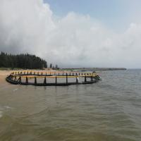 China Mini Simple Circular Floating Fish Cage, Equipment for Family-Style Coastal Aquaculture for sale