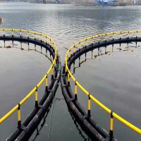 China Mini Simple Circular Floating Fish Cage, Equipment for Family-Style Coastal Aquaculture for sale