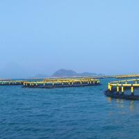 China High Polymer HDPE Anti-Corrosion Circular Deep-Sea Cage, Long-Lasting Gear for High-Salinity Mediterranean Waters for sale