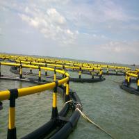 China High Polymer HDPE Anti-Corrosion Circular Deep-Sea Cage, Long-Lasting Gear for High-Salinity Mediterranean Waters for sale