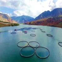 China Full Integrated Circular Fish Cage Set, One-Stop Complete Gear with Frame, Culture Nets & Protection Nets for sale