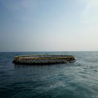 China Full Integrated Circular Fish Cage Set, One-Stop Complete Gear with Frame, Culture Nets & Protection Nets for sale