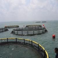China Full Integrated Circular Fish Cage Set, One-Stop Complete Gear with Frame, Culture Nets & Protection Nets for sale