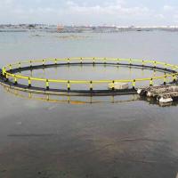 China Full Integrated Circular Fish Cage Set, One-Stop Complete Gear with Frame, Culture Nets & Protection Nets for sale