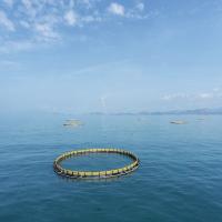 China Large Perimeter Anti-Wave Circular Deep-Sea Cage, Special Equipment for Open-Sea Commercial Aquaculture for sale
