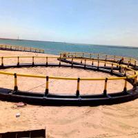 China Large Perimeter Anti-Wave Circular Deep-Sea Cage, Special Equipment for Open-Sea Commercial Aquaculture for sale