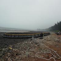 China 30m Standard Circular Coastal Fish Cage, Floating Aquaculture Gear for Sea Bream & Golden Pompano for sale