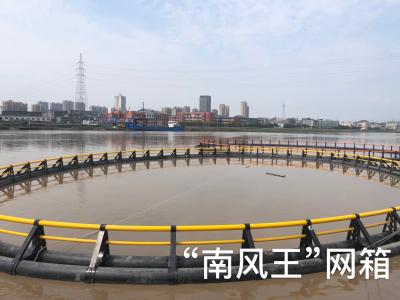 China Do you want HDPE Fish Cage to lift your annual fish output greatly? for sale