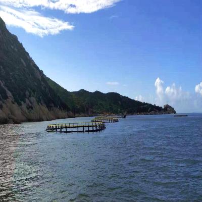 China Legendary Marine HDPE Circular Fish Cage | Miracle Anti-wave Technology, Magical Aquaculture Equipment for sale