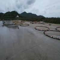 China Miracle 30-300m Perimeter Round Fish Cage | Legendary Sturdy Frame, One-stop Magical Aquaculture Solution for sale
