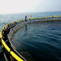 China Legendary Offshore Farming Equipment | Magical Circular Floating Cage with Miracle High-yield Structure for sale