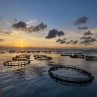China Legendary Offshore Farming Equipment | Magical Circular Floating Cage with Miracle High-yield Structure for sale