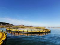 China Want to reduce fish loss while increasing your farm production with HDPE fish cage? for sale