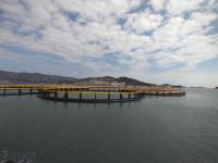 China Cut Maintenance Costs: UV-Resistant HDPE Fish Cage for sale