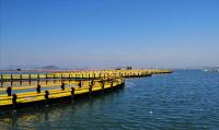 China Cut Maintenance Costs: UV-Resistant HDPE Fish Cage for sale