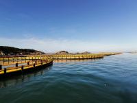 China Cut Maintenance Costs: UV-Resistant HDPE Fish Cage for sale