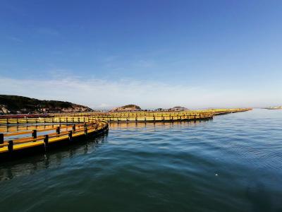 China Cut Maintenance Costs: UV-Resistant HDPE Fish Cage for sale