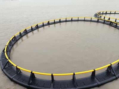 China Anti-escape HDPE cage for grouper, stocking density 14–18kg/m³, fine mesh reduces fry loss for Southeast coastal farms. for sale