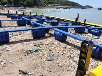 China High-flow PE cage for common carp, stocking density 24–28kg/m³, great oxygen supply for Middle East & European freshwater culture. for sale