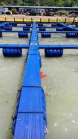 China Anti-corrosion HDPE cage for vannamei shrimp, stocking density 12–16kg/m³, complete mooring set for global coastal shrimp farming. for sale