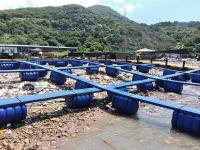 China Anti-corrosion HDPE cage for vannamei shrimp, stocking density 12–16kg/m³, complete mooring set for global coastal shrimp farming. for sale