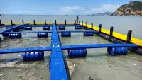 China Deep-water PE cage for barramundi, stocking density 15–20kg/m³, fits brackish water farms in Australia and Thailand. for sale